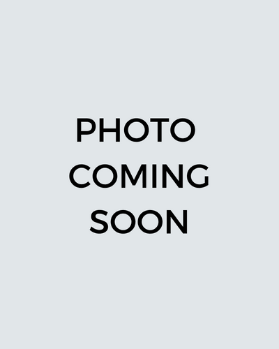 Genuine Renault Clio 4RS | Clio 4 0.9TCe Air Filter